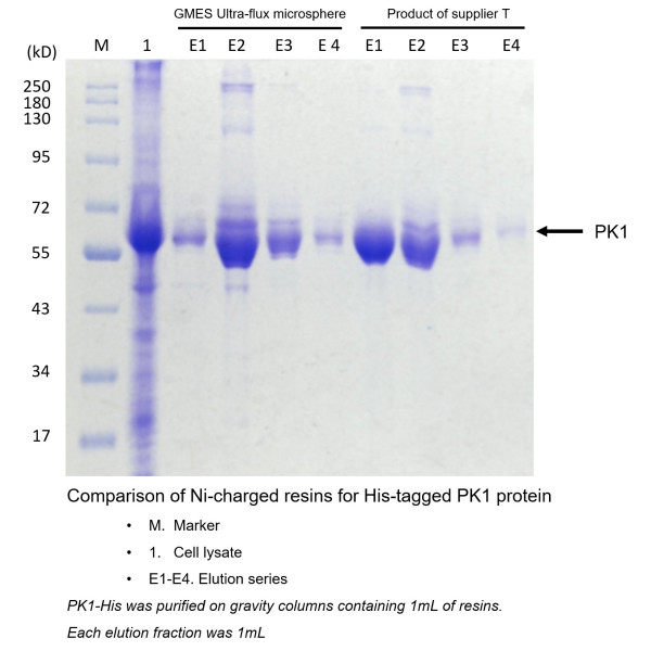 His-tag Affinity Microsphere