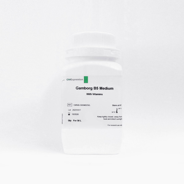 Gamborg B5 medium